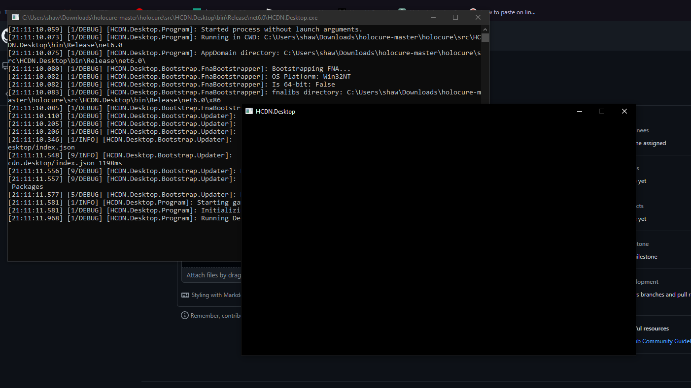 game black screen on start · Issue #1 · hcdotnet/holocure-dotnet · GitHub