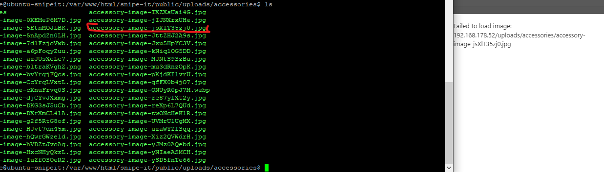 Wrong images path ("Failed to load image) · Issue #12627 · snipe/snipe-it · GitHub
