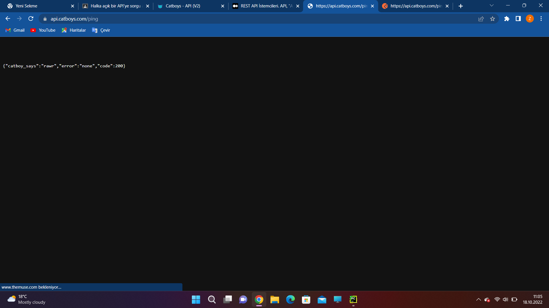 GitHub - ZehraSahaplioglu/AcikKaynakAPIodev