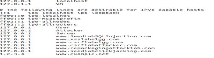 GitHub - kidane321/Local-DNS-Attack-Lab