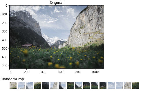 GitHub - tahsirmunna/N-number-of-random-crop-by-pytorch: This is a very simple code for doing ...