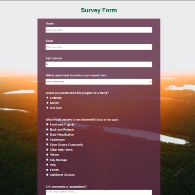 GitHub - AygunHajiyeva/Responsive-Survey-Form