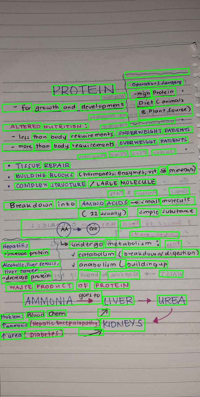 GitHub - treeleafrnd/Differential-Binarization-Net-Model: Differential Binarization Network ...
